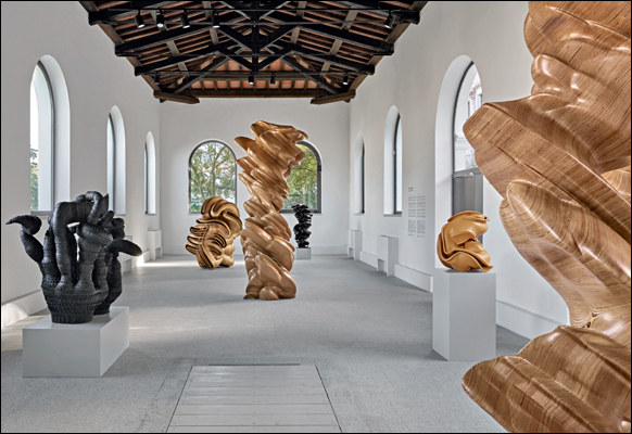 Anthony Cragg – Book Reviews