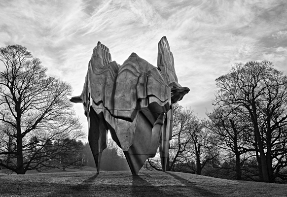 Anthony Cragg – Book Reviews